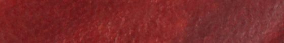 Leather Dye for Restoring & Customizing Goods · Angelus Direct