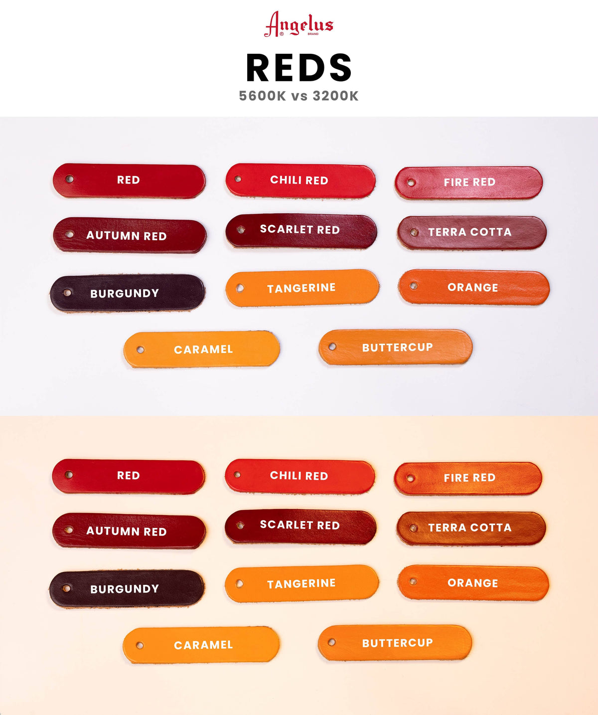 Angelus Color Charts · Angelus Direct